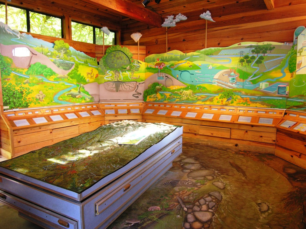 Exhibits | Placer Nature Center