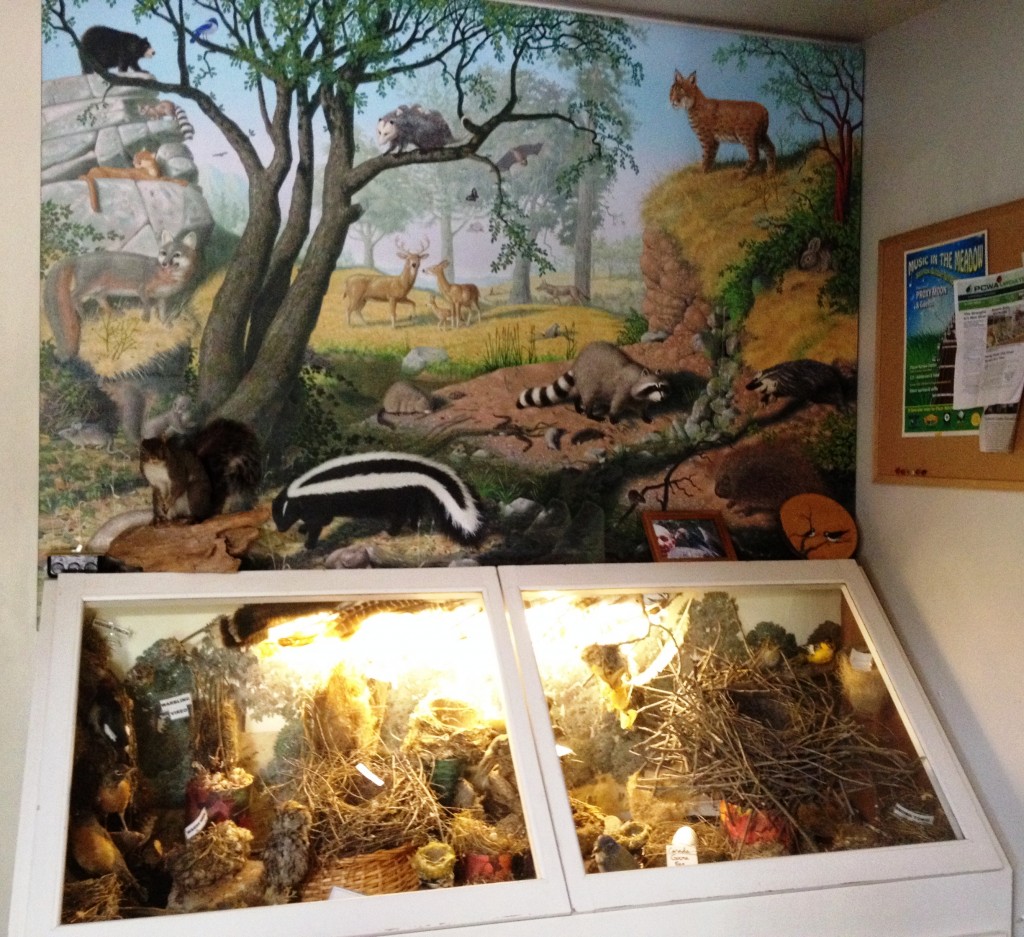 Exhibits | Placer Nature Center