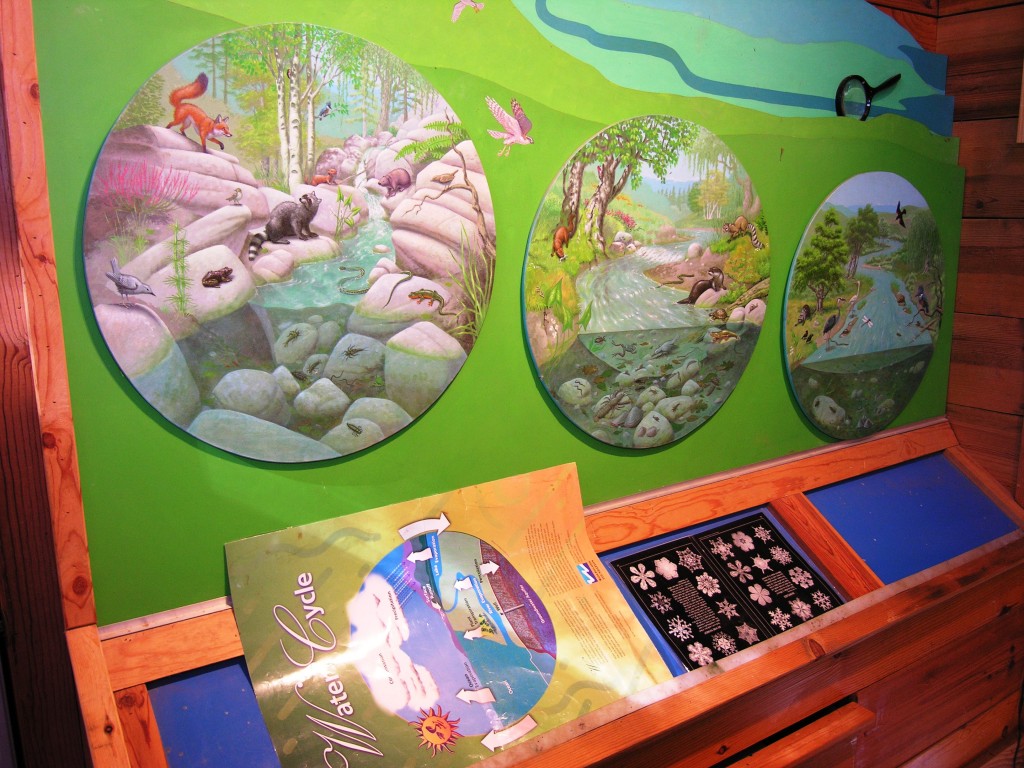 Exhibits | Placer Nature Center