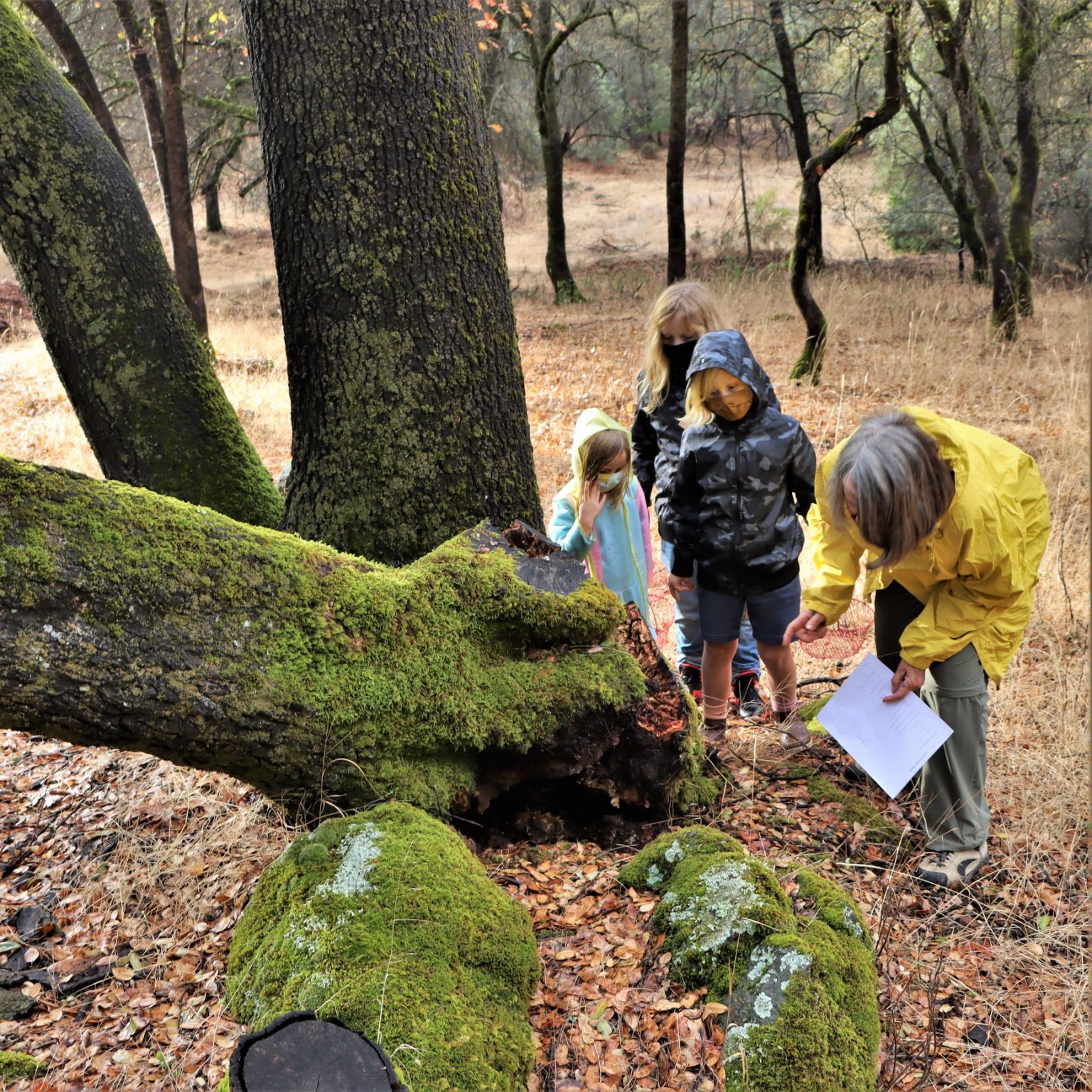 Experience the Nature Center | Placer Nature Center